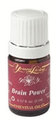 Brain Power Essential Oil by Gary Young | D. Gary Young