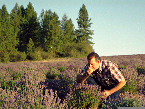 Gary in St. Maries' lavender field | D. Gary Young